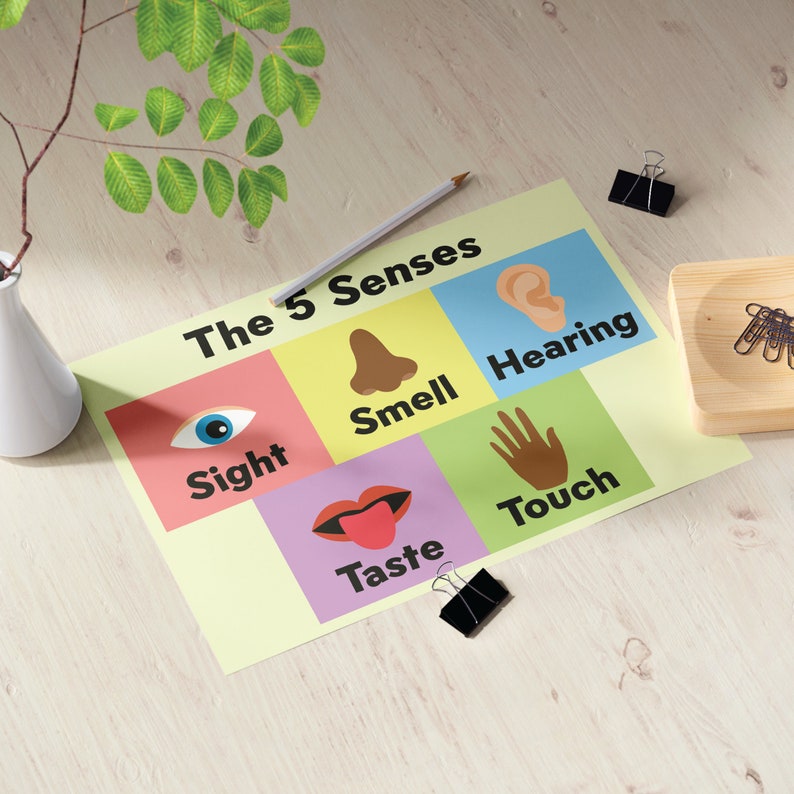 Children's 5 Senses Poster - Instant Download - Etsy
