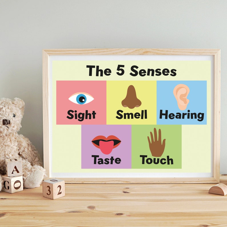 Children's 5 Senses Poster - Instant Download - Etsy