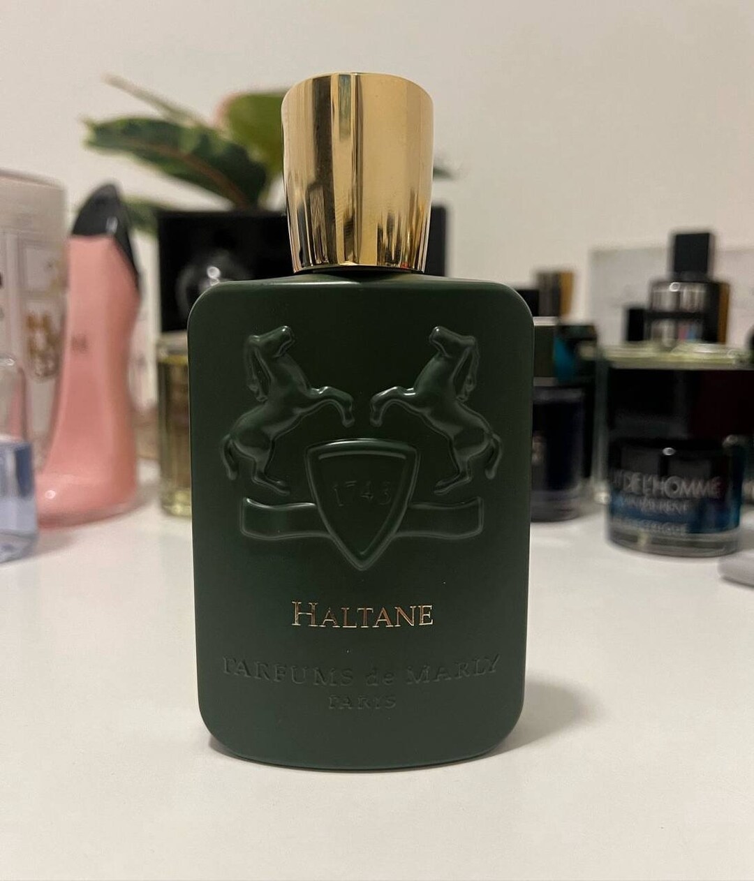 Grandiose Majestic Splendor Haltane 125 Ml Elegant Presentation Box - Etsy