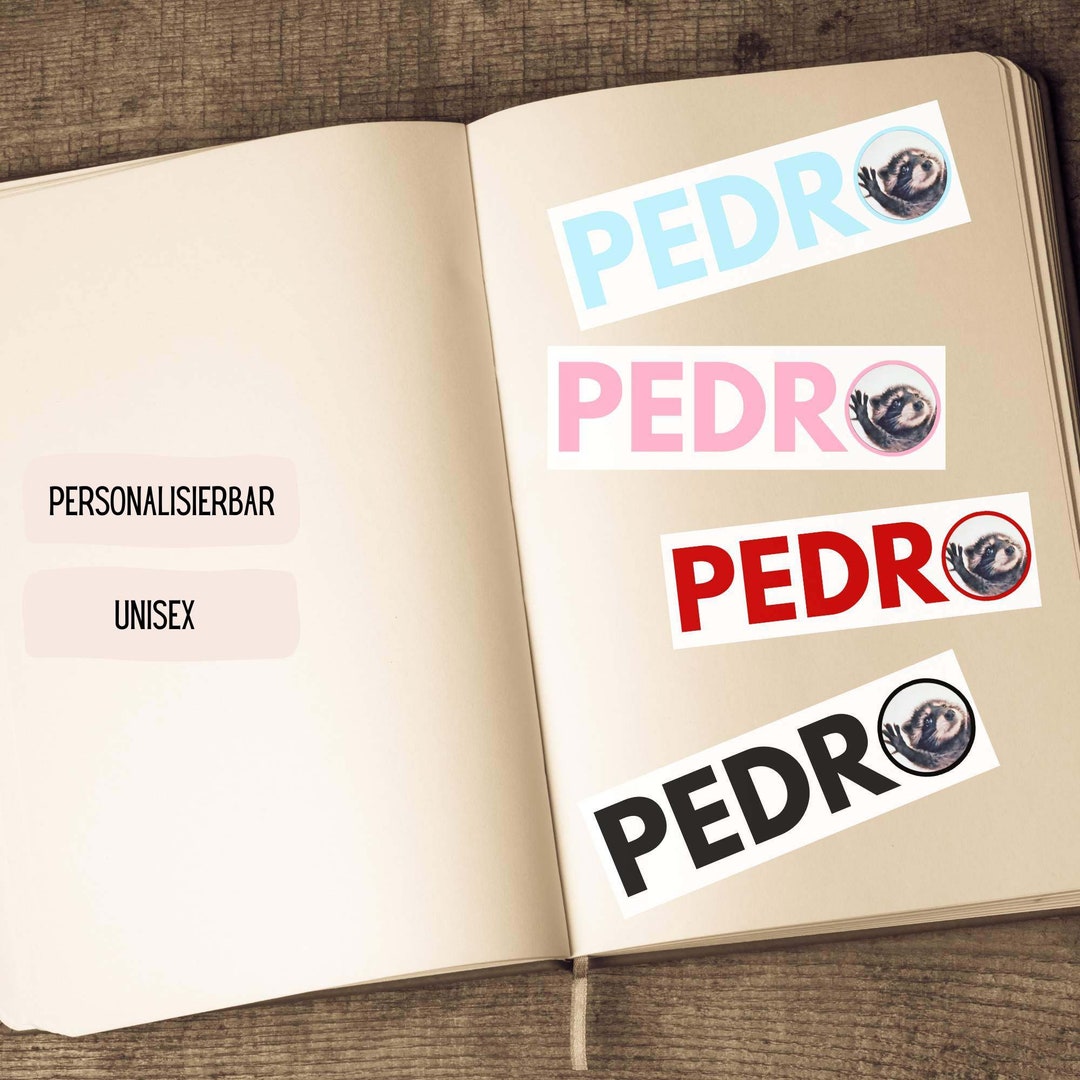 Pedro Pedro Pedro Sticker Pedro Sticker Custom Raccoon Meme Tik Tok ...