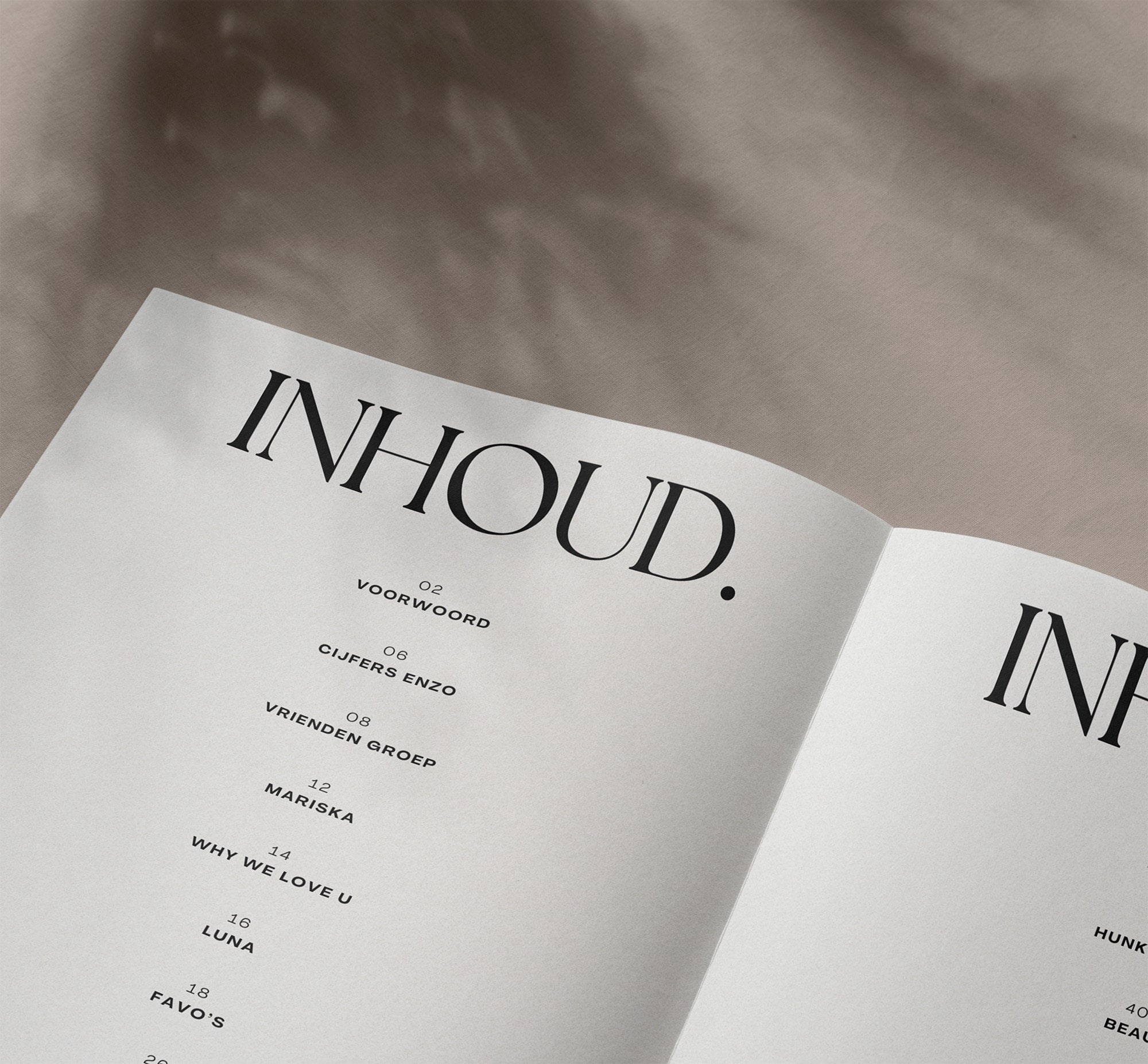 Aanpasbaare Canva tamplate, 21 Diner Magazine, Verjaardagstijdschrift ...