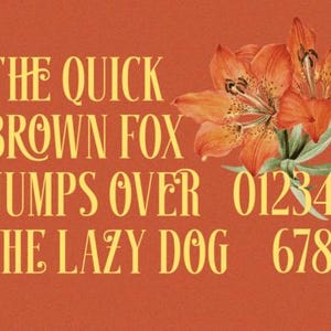 Gruesome Font, Handwritten Font, Elegant Font, Wedding Font, Digital ...