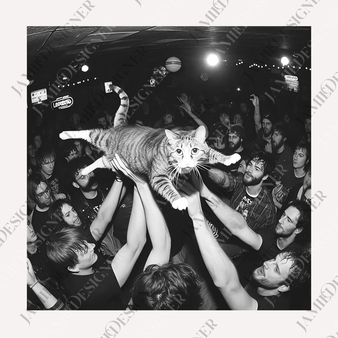 Rock Show Cat Meme Png, Cute Tabby Crowd Surfing Png, Funny Gang Cat ...