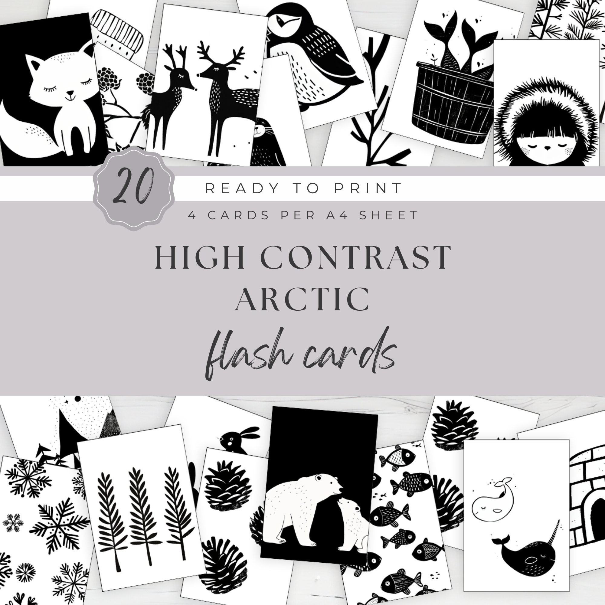 Arctic Theme High Contrast Sensory Flashcards for Baby Digital Download ...