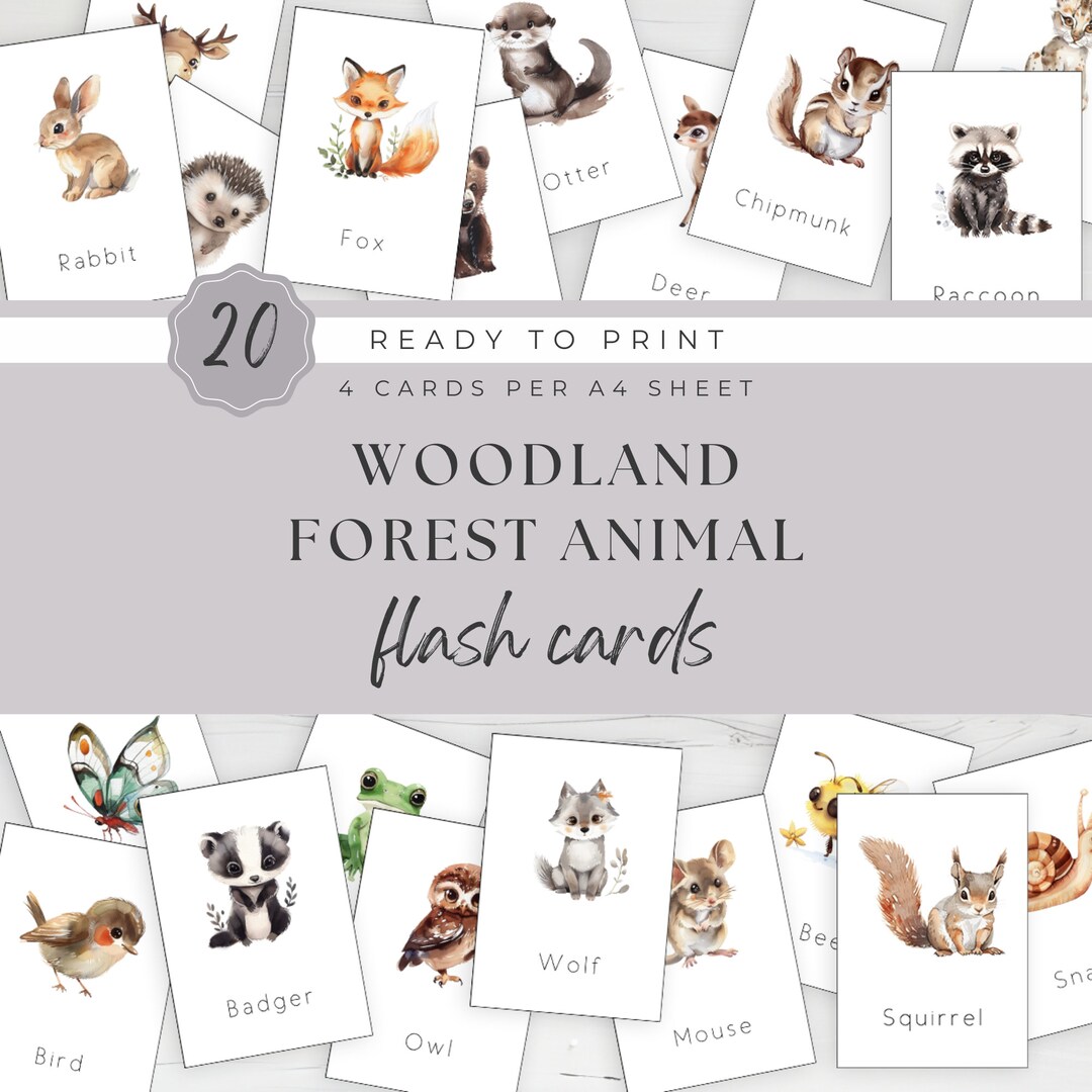 Woodland Forest Animal Flashcards, Digital DIY Montessori Activity for ...