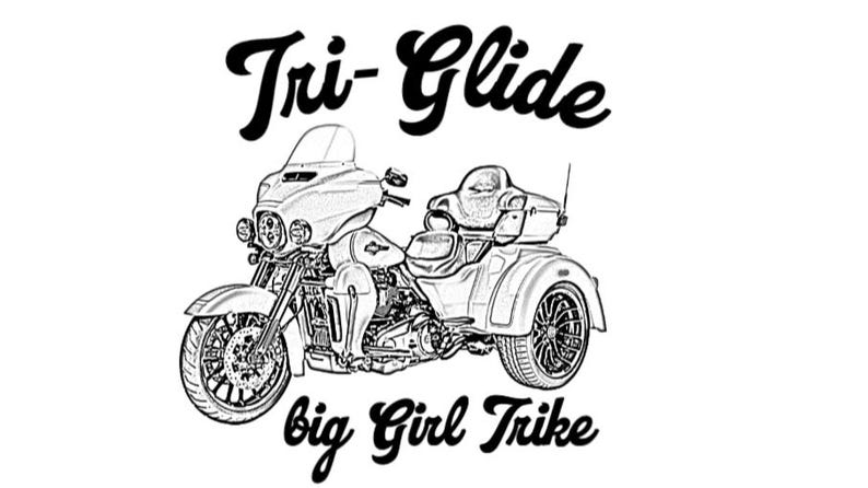 Tri Glide Big Girl Trike - Etsy