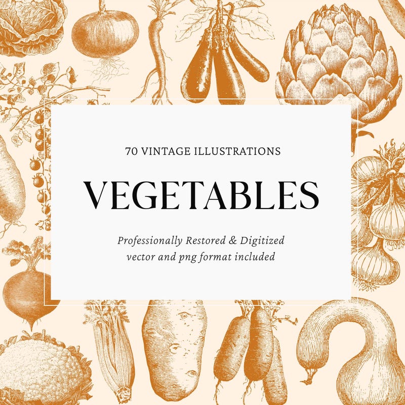 Vegetable Art - Etsy