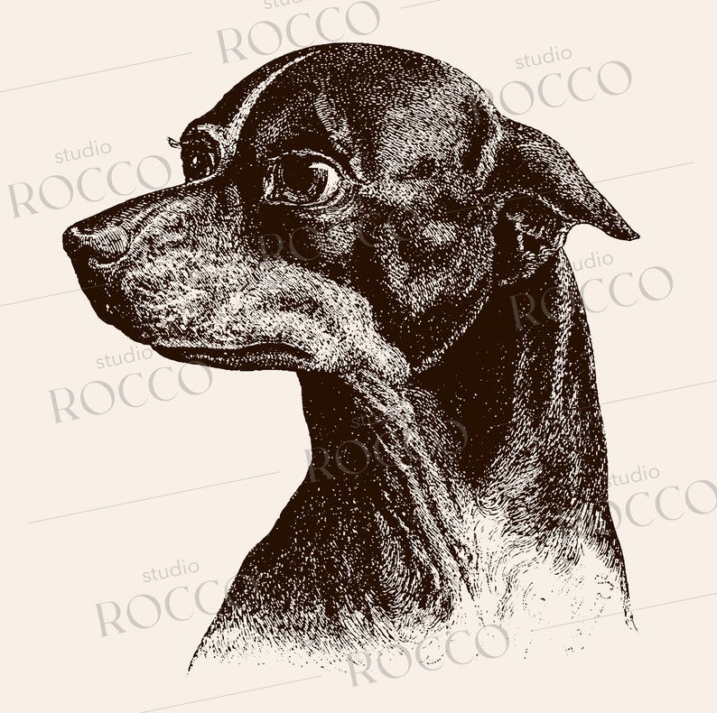 19th Century Dog Vector Illustration Collection / 18 Scalable Vectors ...