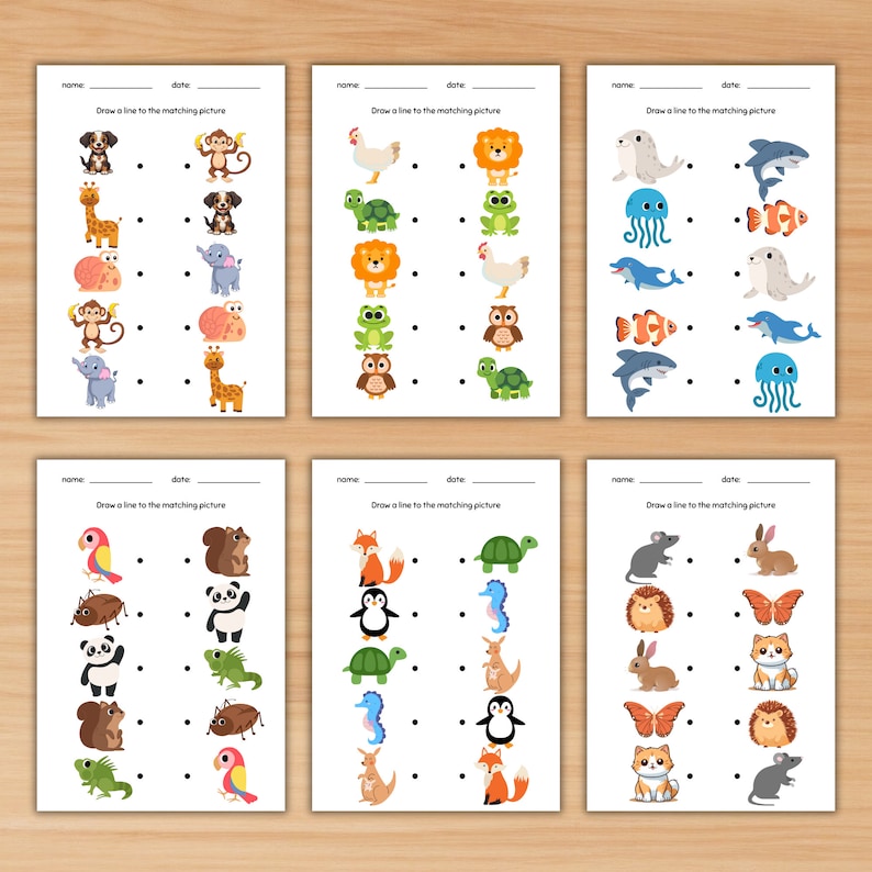 40 Matching Worksheets, Preschool Matching Activity for Kids, Printable ...