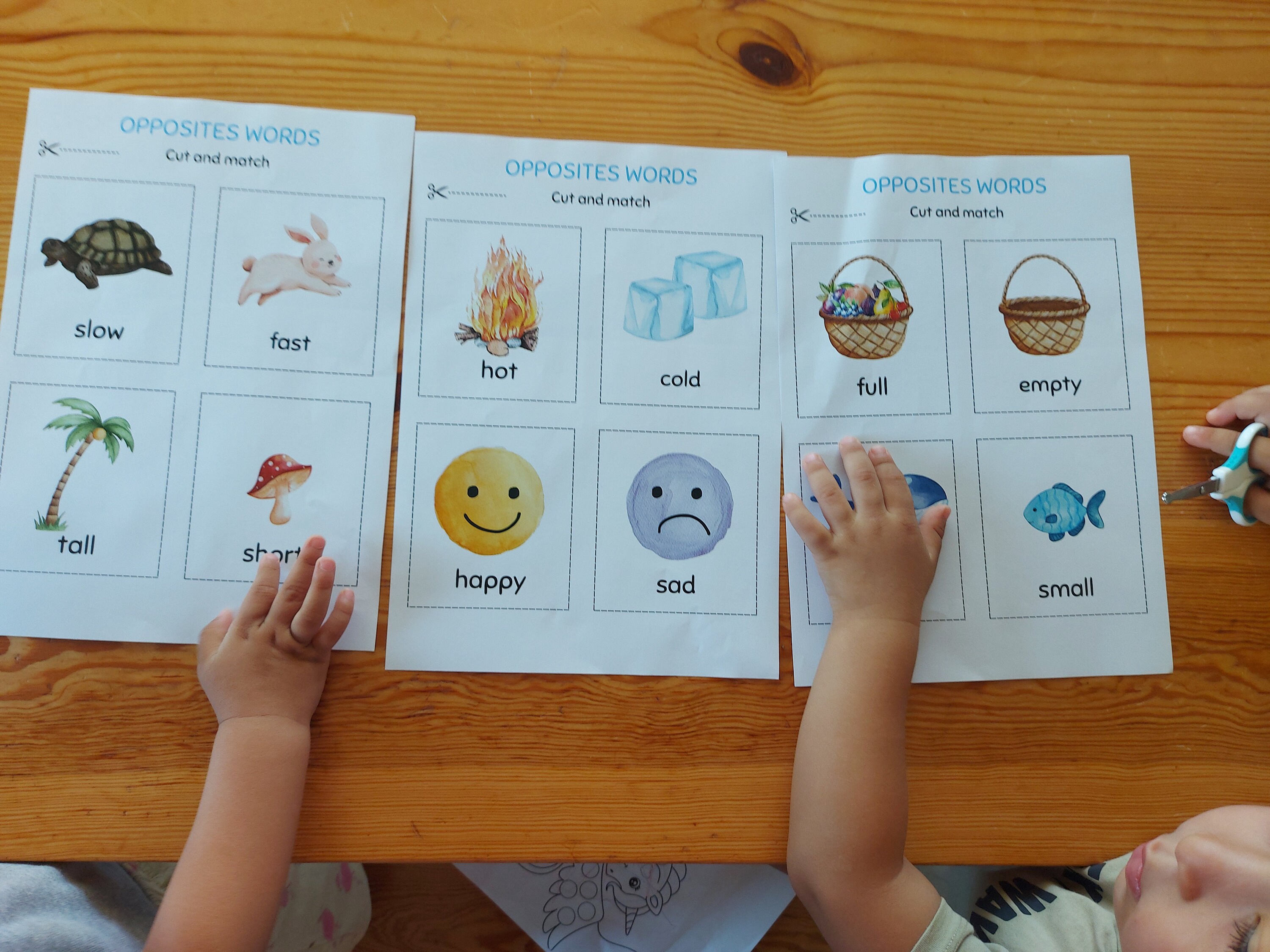 Opposites Matching Flashcards, Printable Vocabulary Activity, Matching ...