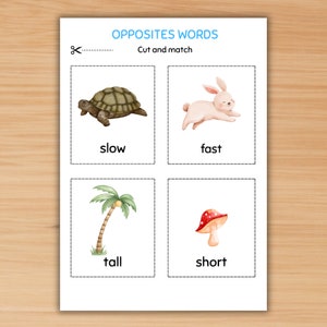Opposites Matching Flashcards, Printable Vocabulary Activity, Matching ...
