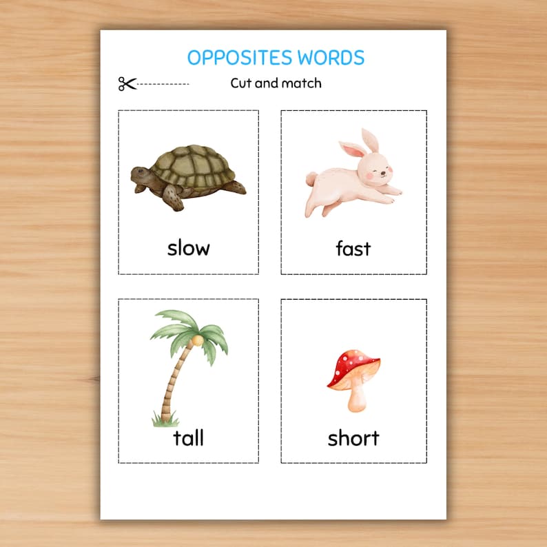 Opposites Matching Flashcards, Printable Vocabulary Activity, Matching ...