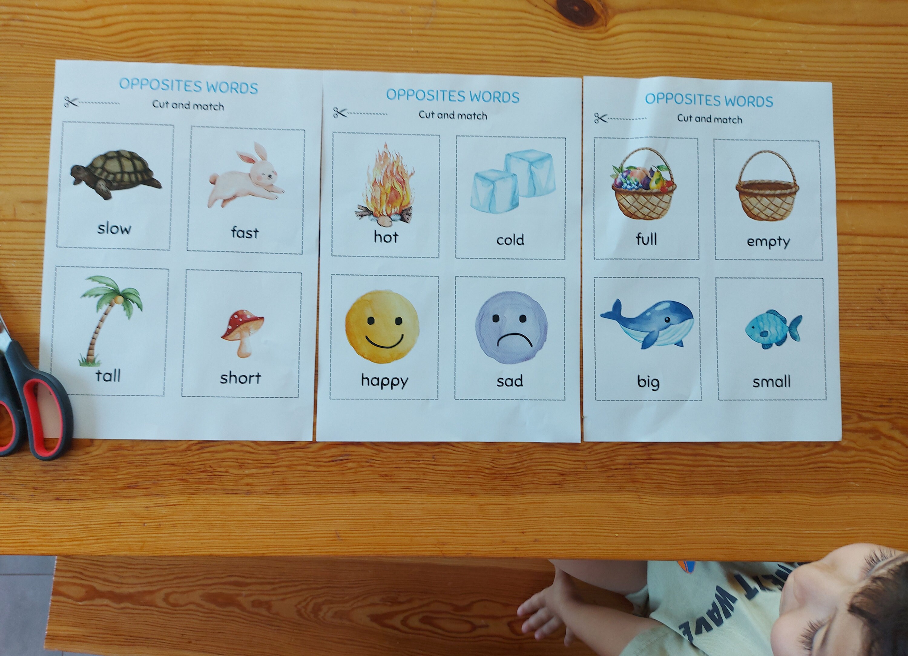 Opposites Matching Flashcards, Printable Vocabulary Activity, Matching ...
