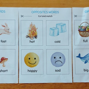 Opposites Matching Flashcards, Printable Vocabulary Activity, Matching ...