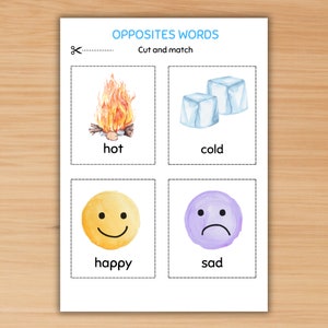 Opposites Matching Flashcards, Printable Vocabulary Activity, Matching ...