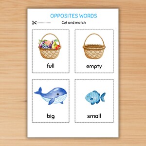 Opposites Matching Flashcards, Printable Vocabulary Activity, Matching ...