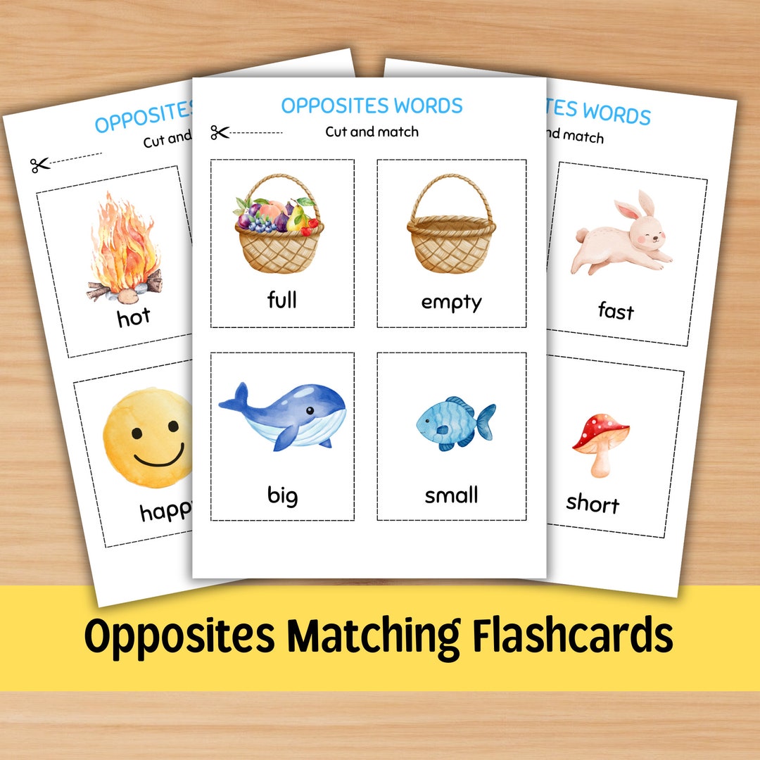 Opposites Matching Flashcards, Printable Vocabulary Activity, Matching ...