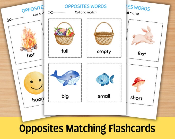 Opposites Matching Flashcards, Printable Activity, Pairing Cards ...