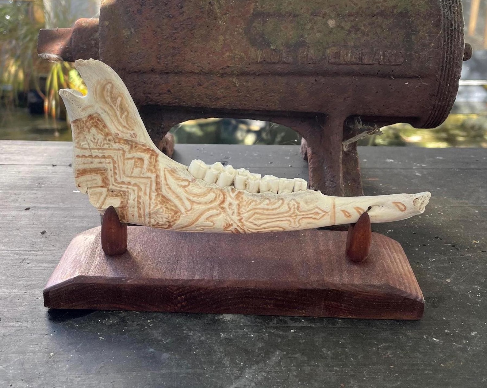 Baroque Engraved Sheep Jawbone on Handmade Display Base - Etsy UK