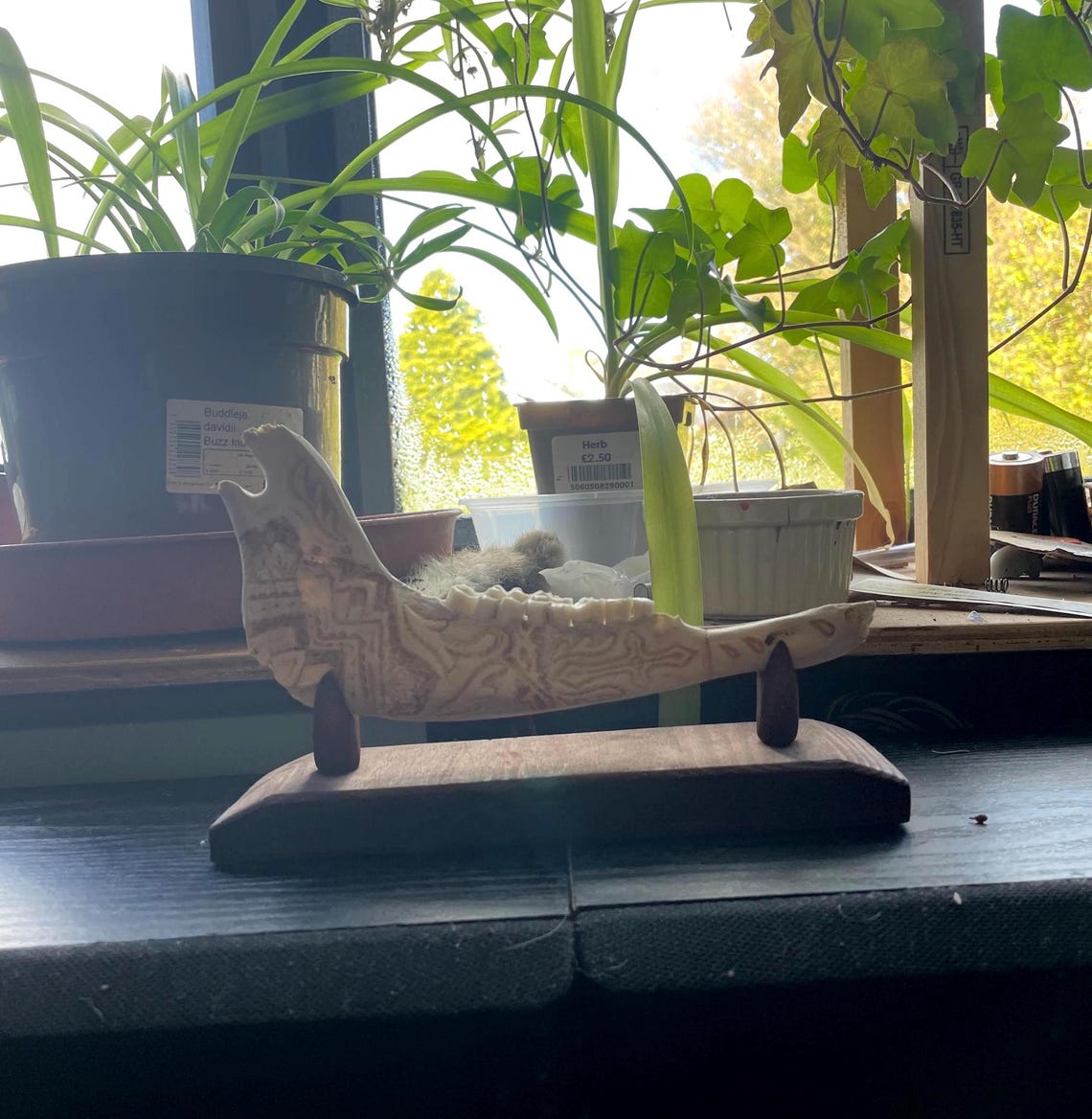 Baroque Engraved Sheep Jawbone on Handmade Display Base - Etsy UK