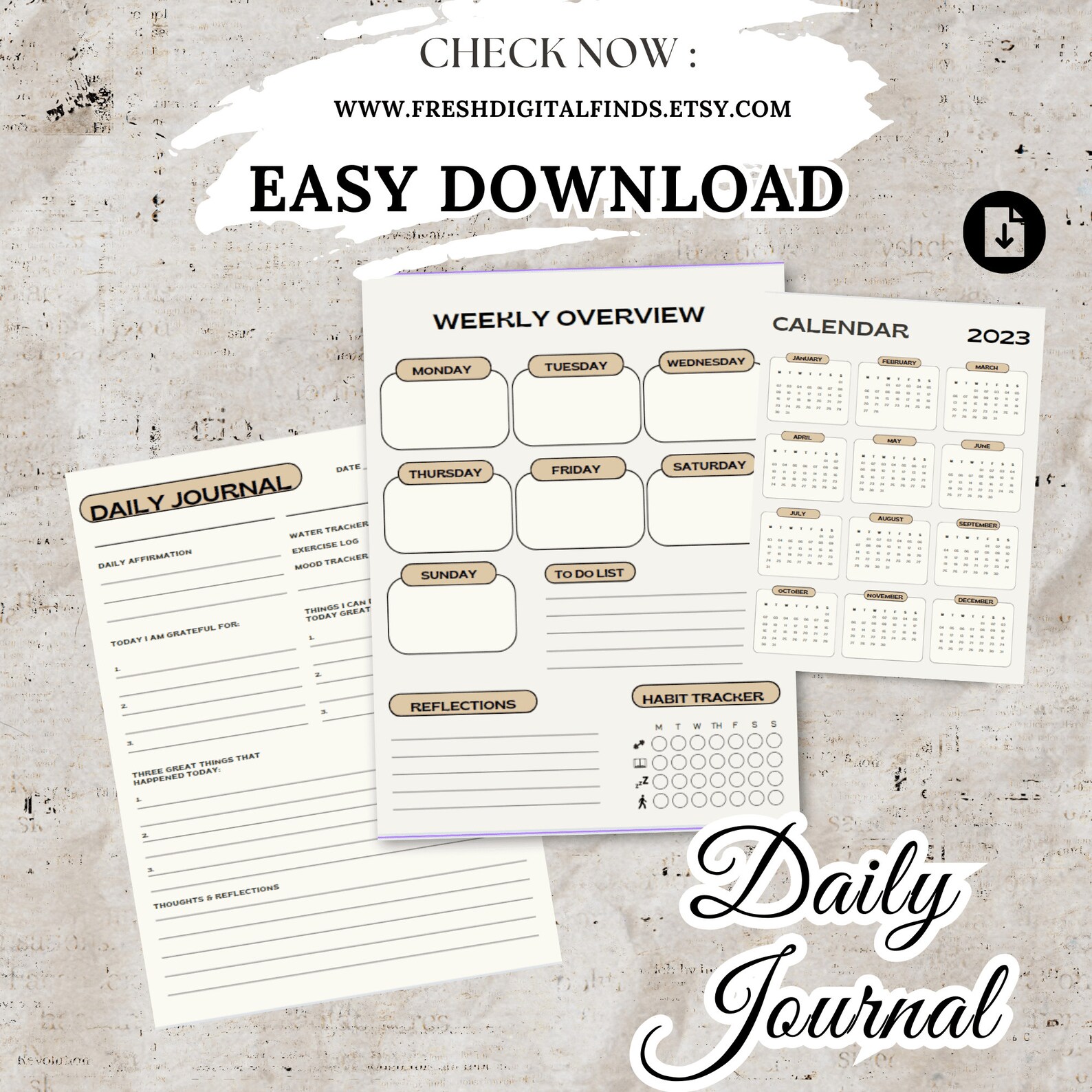 Printable Daily Reflection Journal, Digital Daily Review, Daily Check ...