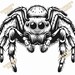 Jumping Spider SVG & PNG Bundle: Digital Art Files - Etsy