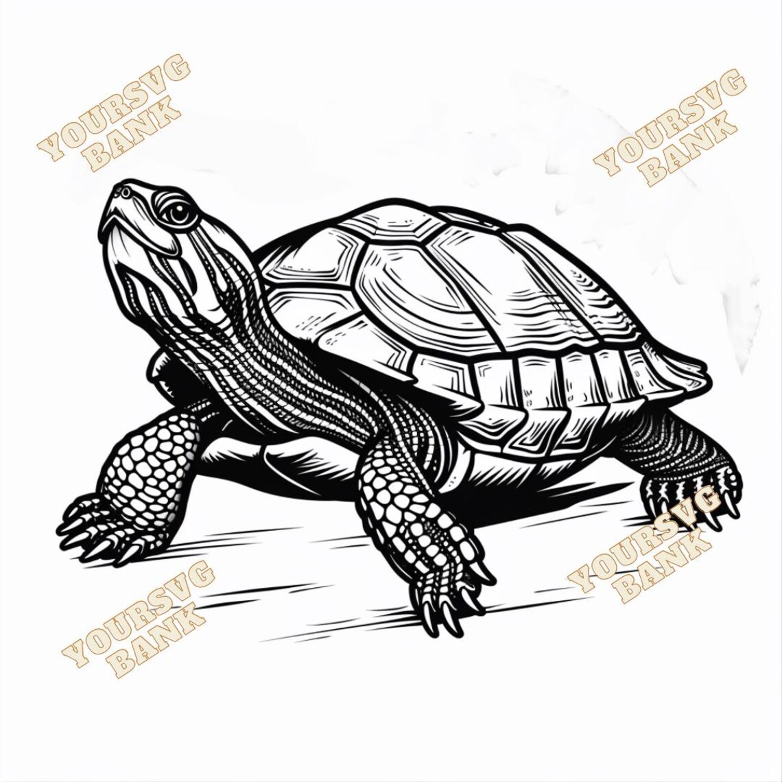 Turtle SVG & PNG Bundle – Digital Art Files for Crafting - Etsy