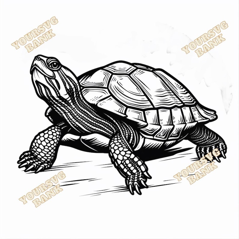 Turtle SVG & PNG Bundle - Premium Digital Files for Crafting and Design ...