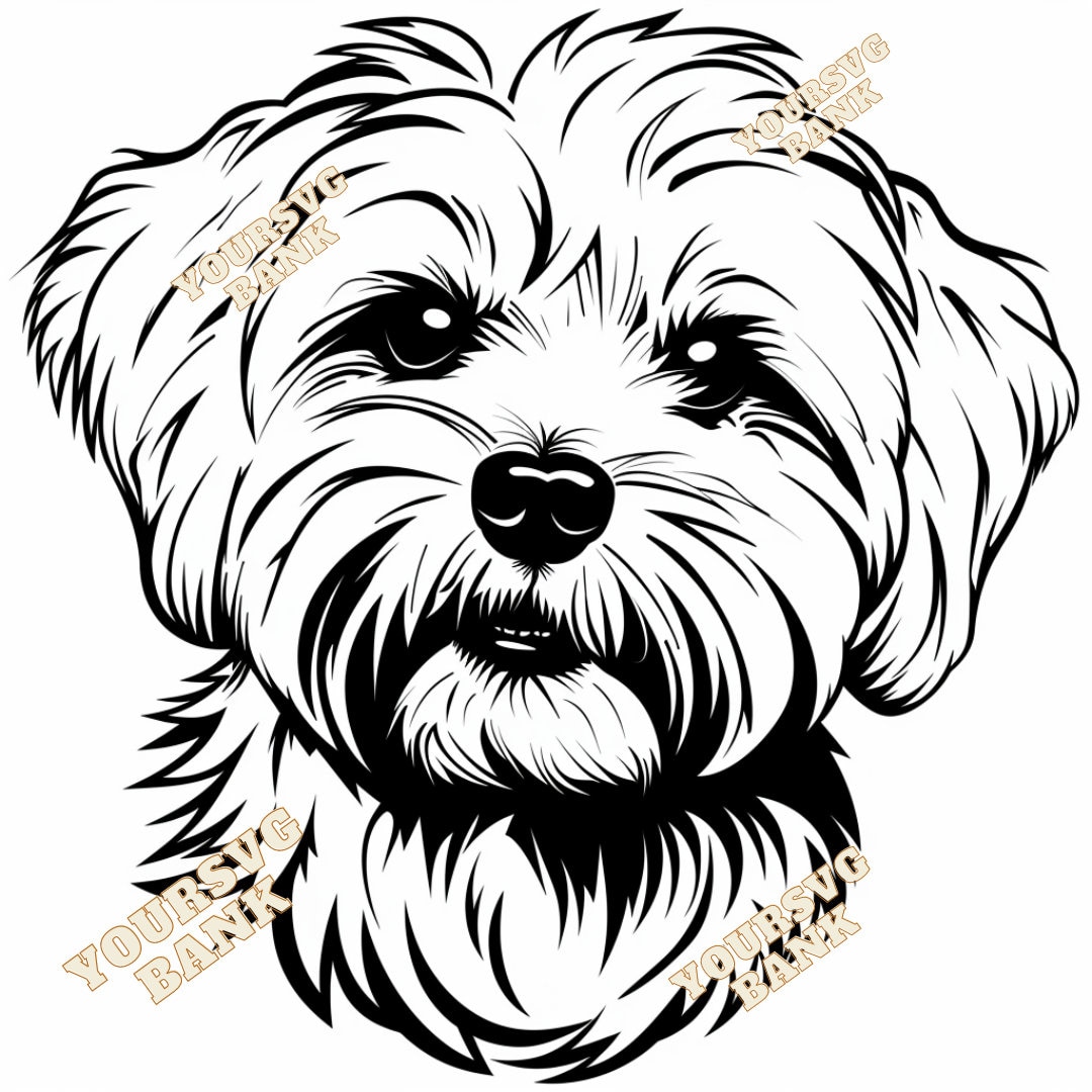 Maltese Dog SVG & PNG Bundle - Cute Digital Files for Crafting and ...