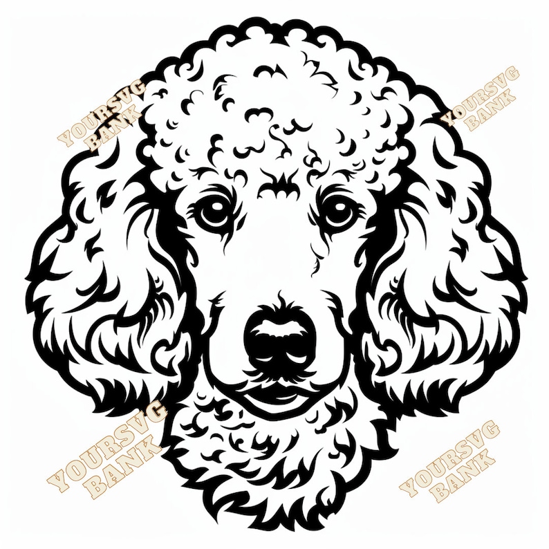 Poodle SVG & PNG Bundle - Premium Digital Files for Crafting and Design ...