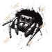 Jumping Spider SVG & PNG Bundle: Digital Art Files - Etsy