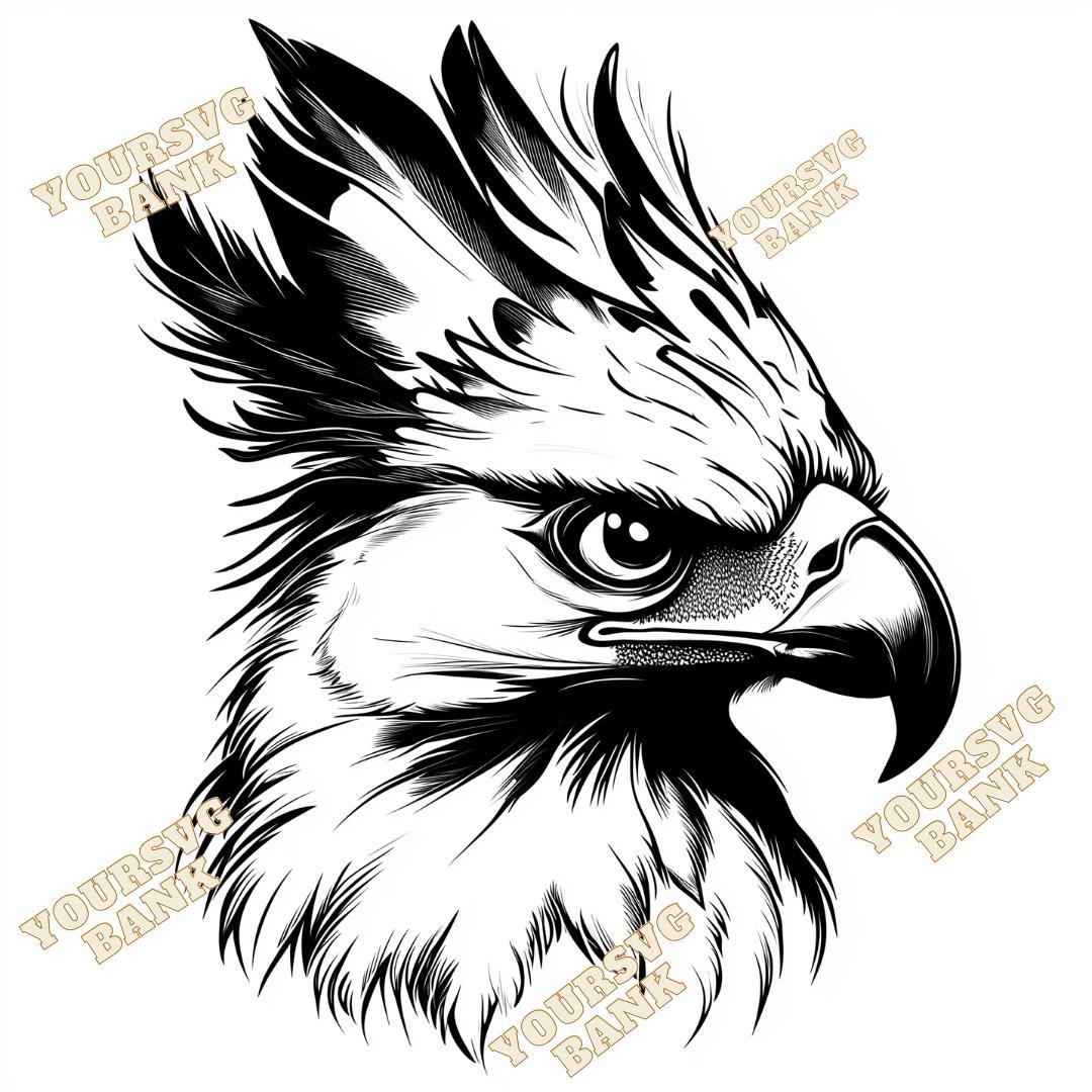 Harpy Eagle SVG & PNG | Majestic Wildlife Craft Files | Instant ...