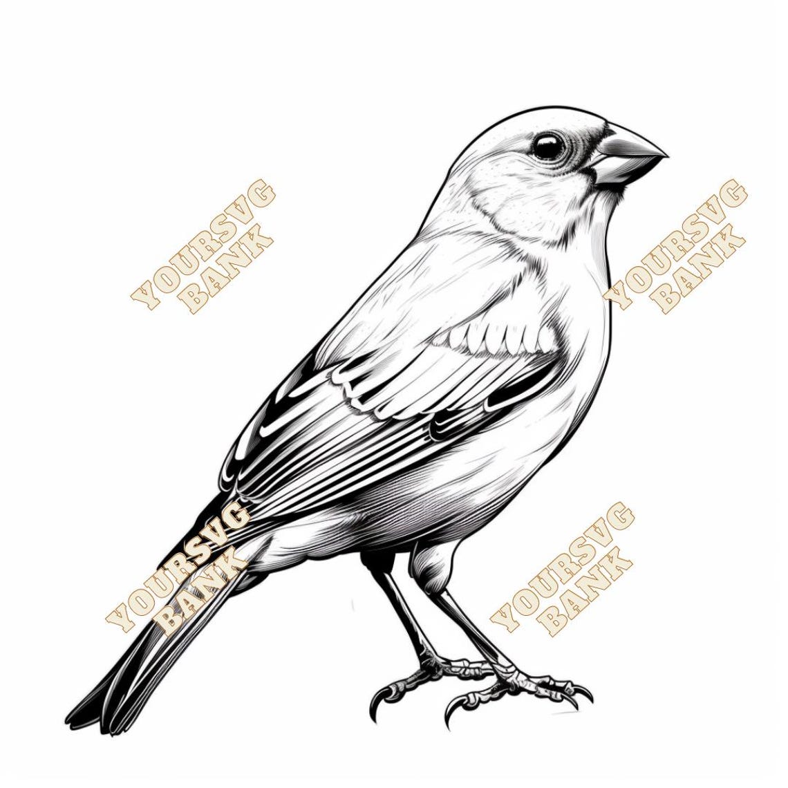 Canary SVG and PNG | Digital Art for Crafts & DIY Projects - Etsy