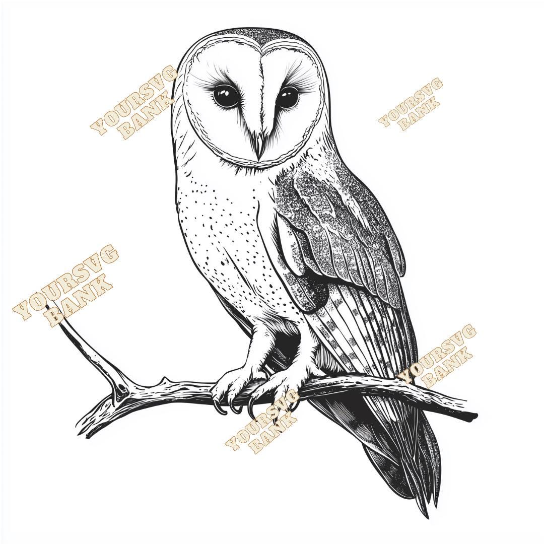 Barn Owl SVG & PNG Ethereal Wildlife Craft Files Instant Download - Etsy