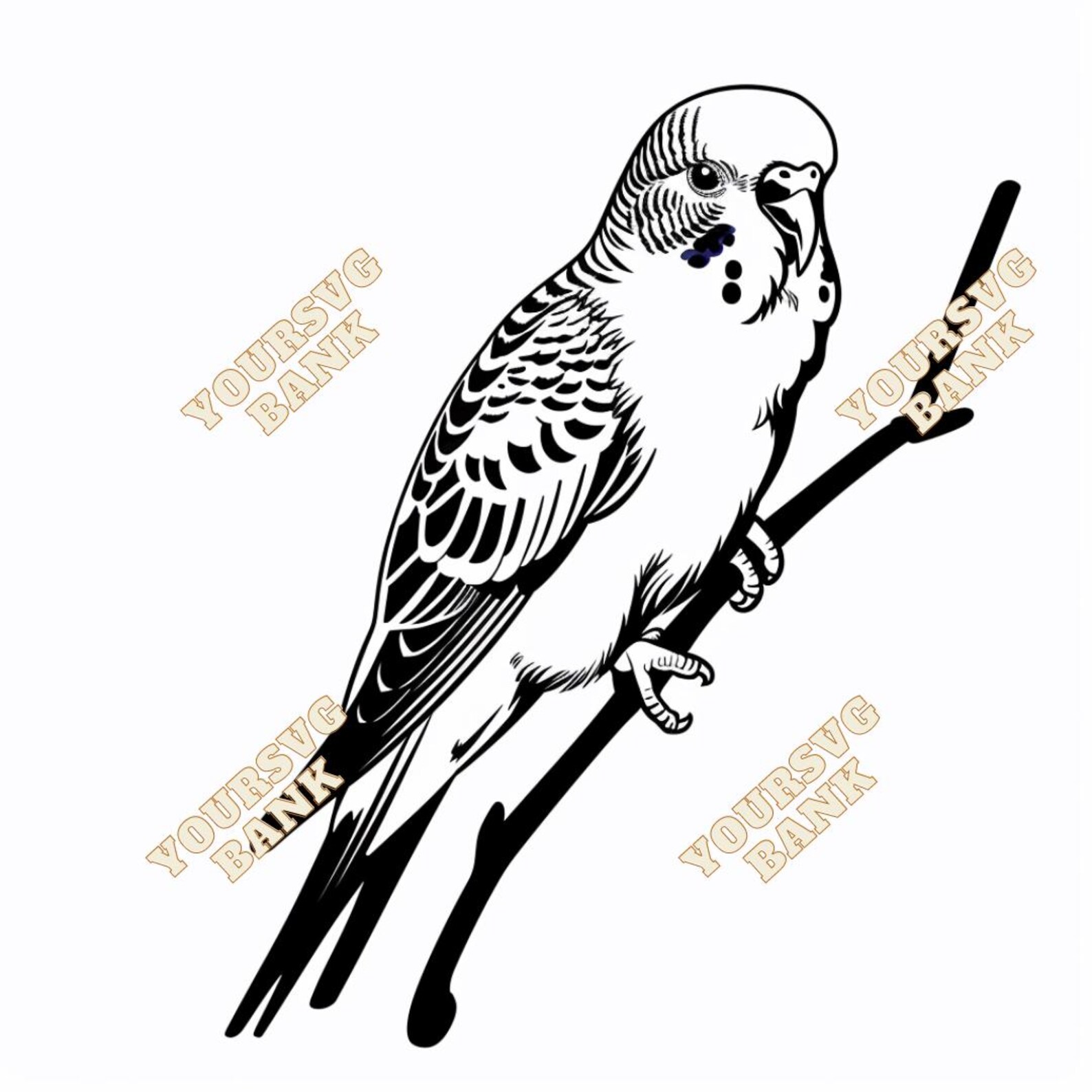 Budgerigar (budgie) SVG and PNG | Digital Art for Crafts & DIY Projects ...