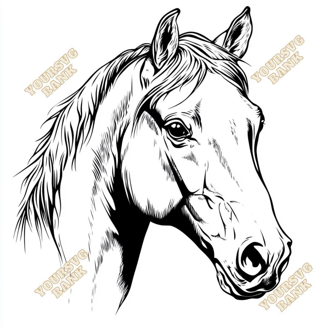 American Quarter Horse SVG & PNG | Western Crafting Files | Instant ...