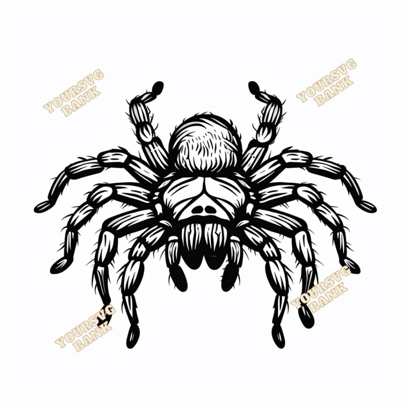 Tarantula SVG and PNG | Digital Art for Crafts & DIY Projects - Etsy