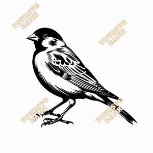 Canary SVG and PNG | Digital Art for Crafts & DIY Projects - Etsy