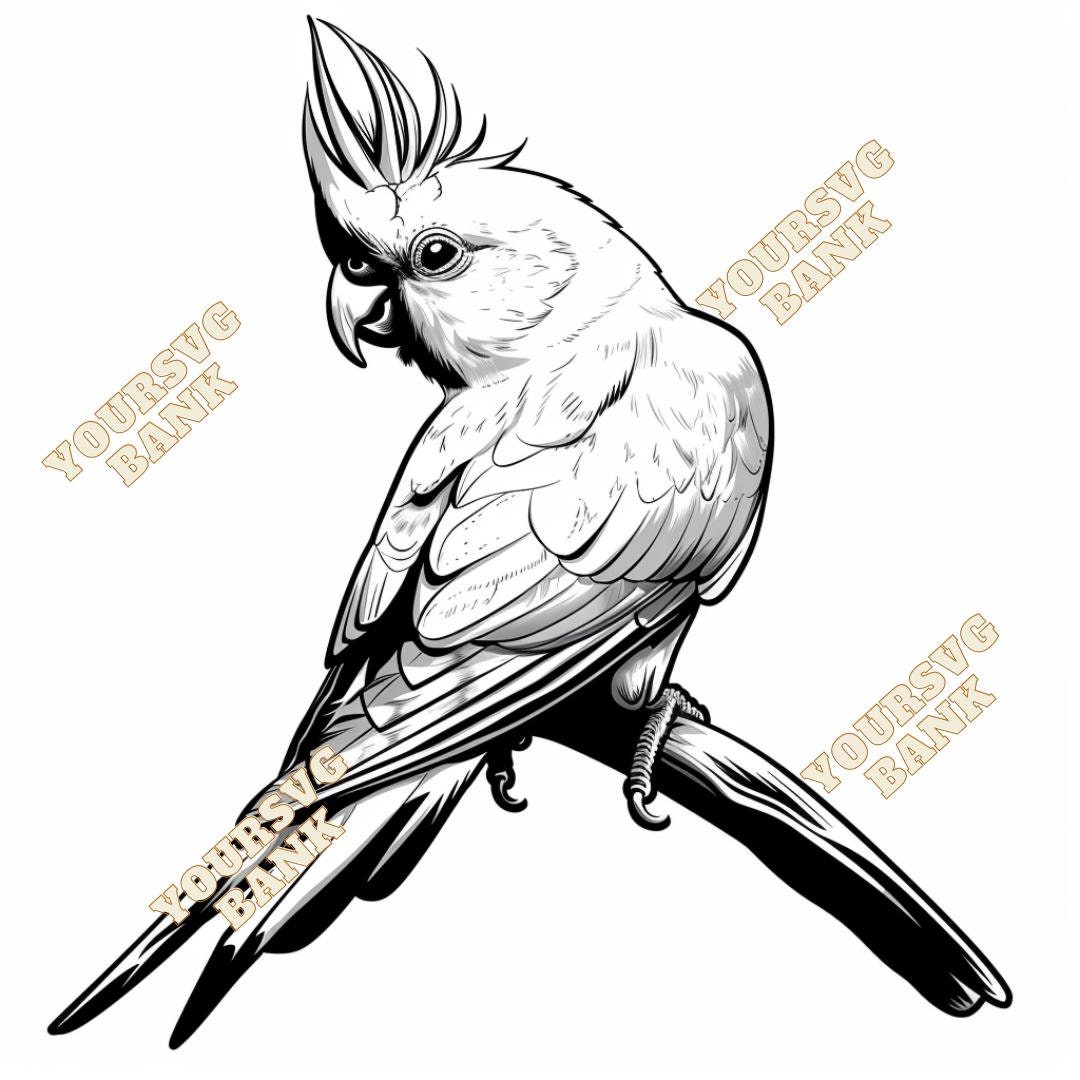 Cockatiel SVG and PNG | Digital Art for Crafts & DIY Projects - Etsy
