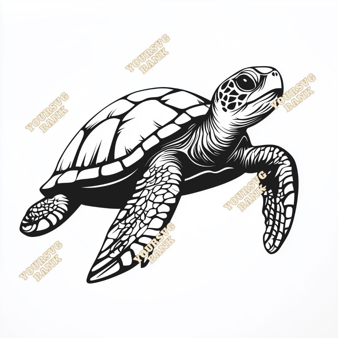 Turtle SVG & PNG Bundle - Premium Digital Files for Crafting and Design ...