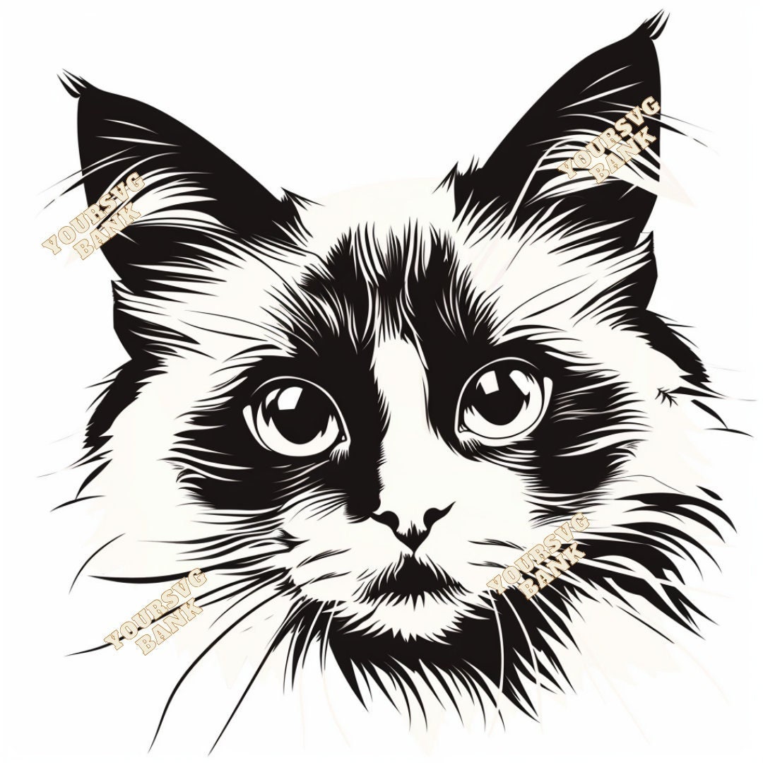 Ragdoll Cat SVG & PNG | Digital Art for Crafts and DIY Projects - Etsy