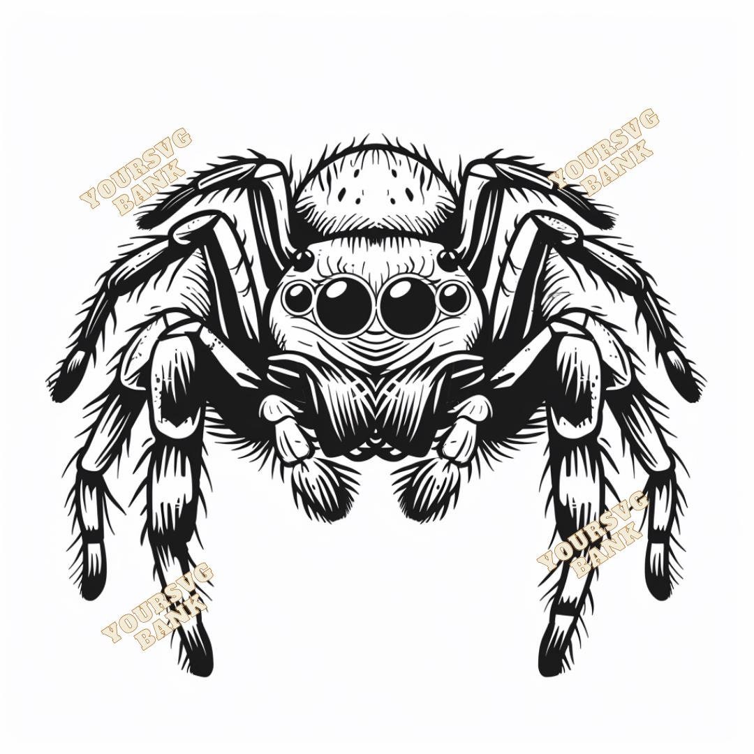 Jumping Spider SVG and PNG Digital Art for Crafts & DIY Projects - Etsy