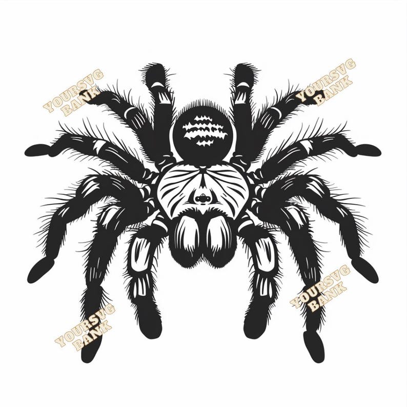 Tarantula SVG and PNG Digital Art for Crafts & DIY Projects - Etsy