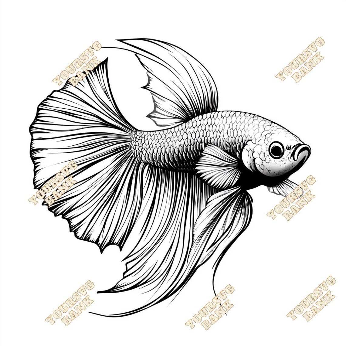 Betta Fish SVG: Siamese Fighting Fish Clipart (digital Art) - Etsy
