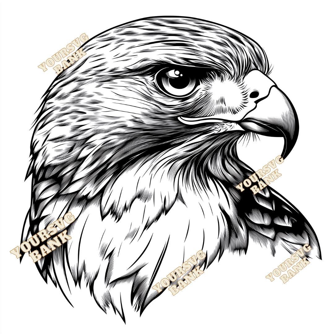 Red-tailed Hawk SVG & PNG | Majestic Wildlife Craft Files | Instant ...