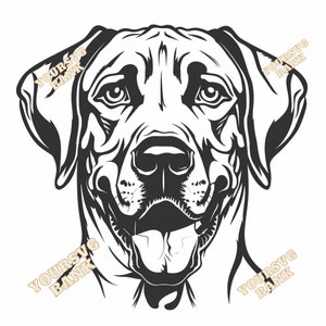 Rhodesian Ridgeback SVG & PNG Bundle Premium Digital Files for Crafting ...