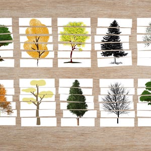 Printable Puzzle Strips, Trees Puzzle Strips, Sequencing Activity for ...