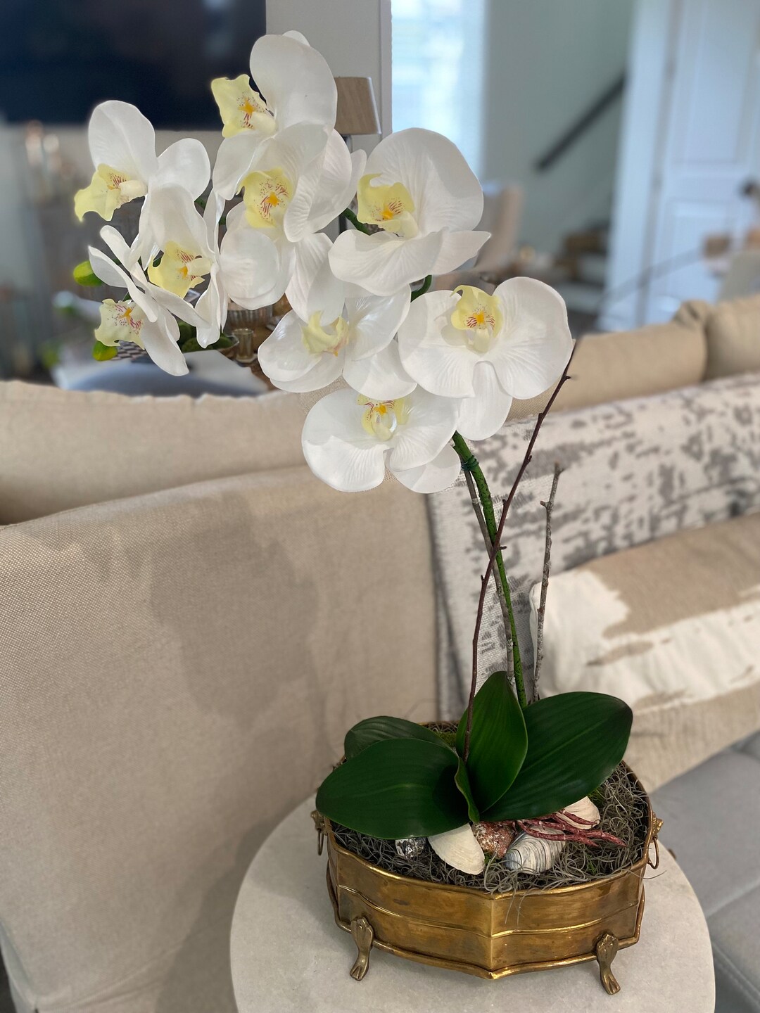 Orchids in Vintage Brass Planter With Moss and Sea Shells, Faux Real ...
