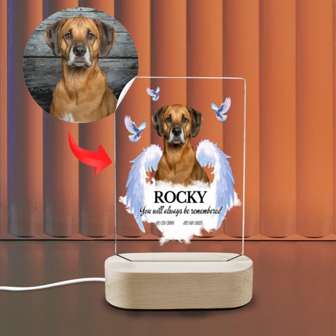 Personalized Pet Memorial Acrylic Light | Custom Pet Loss Gift | Angel ...