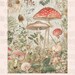 Printable Vintage Mushrooms Botanical Art, Spring Style Print, Vintage ...